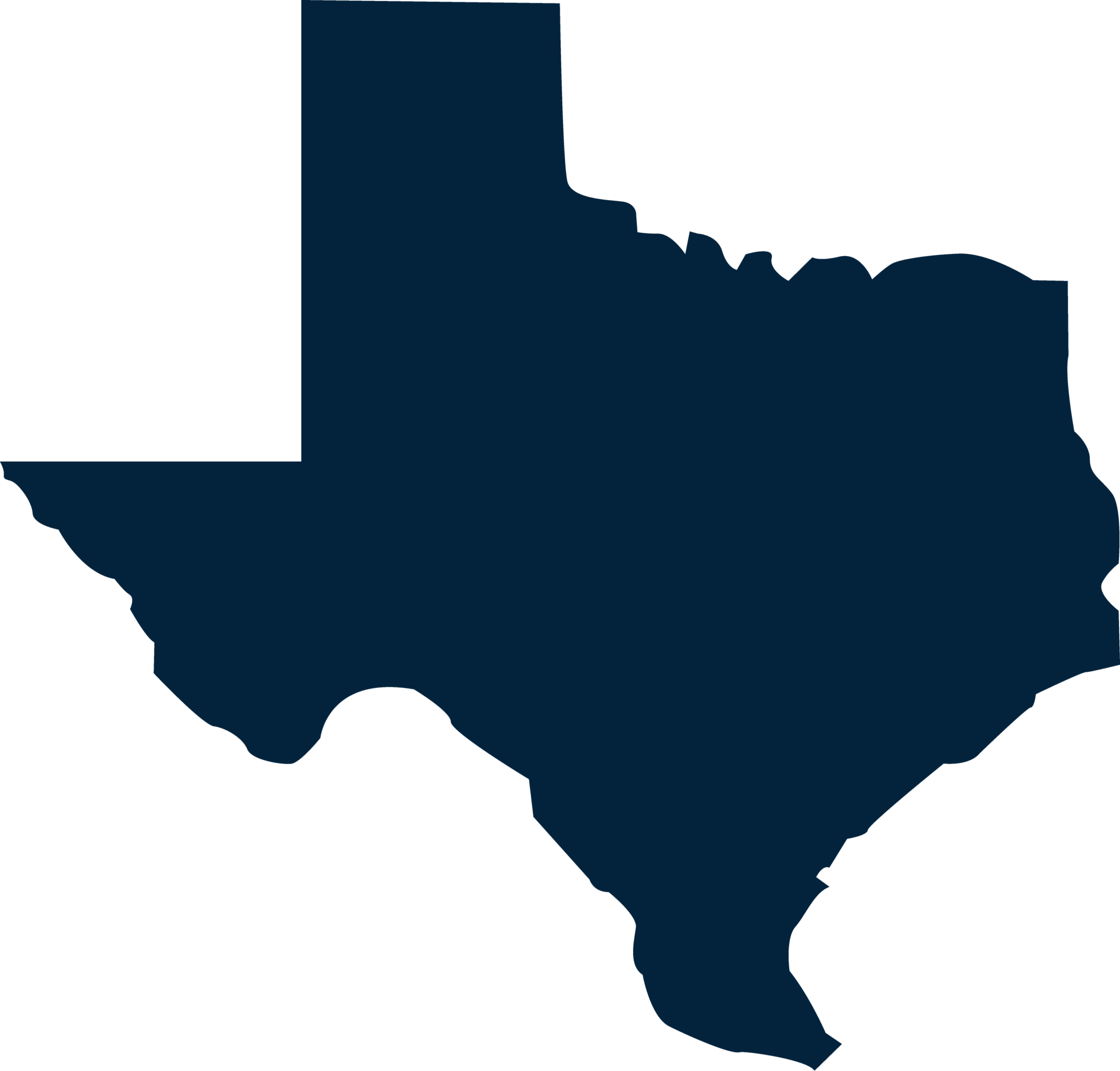 Texas | Nonprofit VOTE